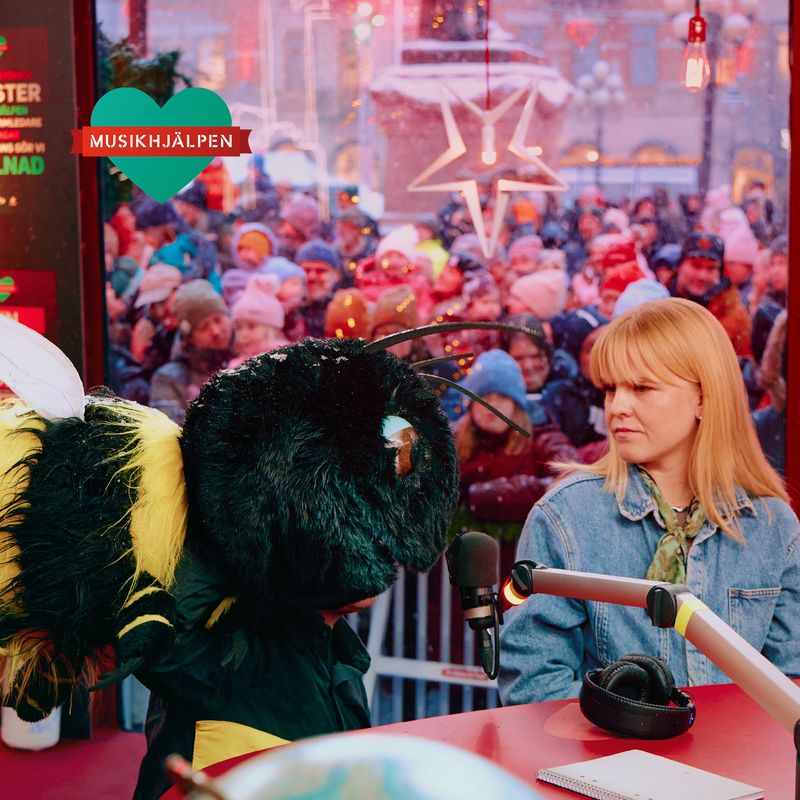 Ett roligt lärande - Humlan Djojj